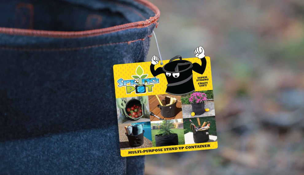 How to Grow Plants from Seeds without Stress | Seed Planting Guide